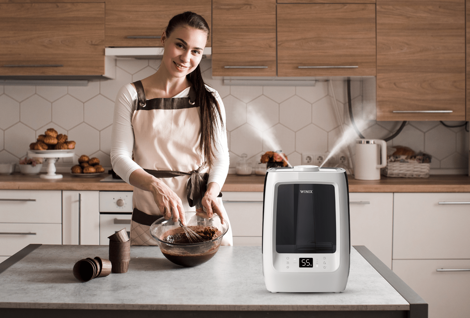 Air Purifier WINIX 5500-2 | #1 Best Air Purifier For Home