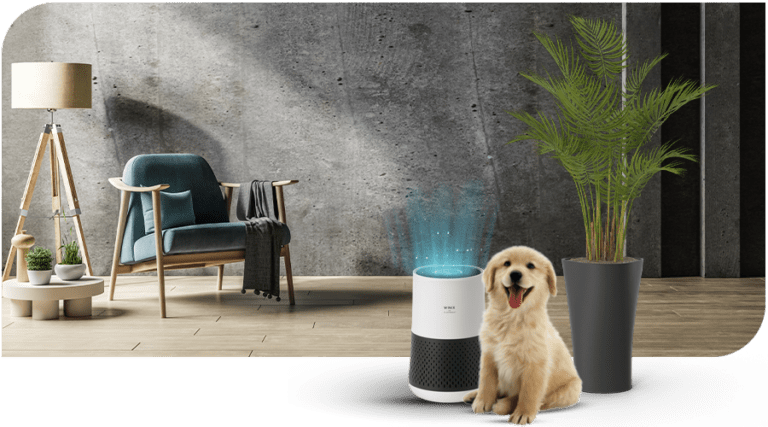 Air Purifiers | The Best Air Purifier For Your Home | WINIX